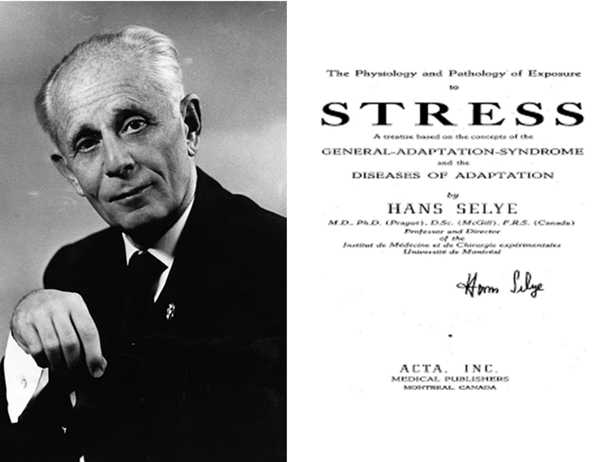 스트레스 연구의 선구자, 한스 셀리에: 스트레스 개념의 탄생 - Better Skin, Better Life